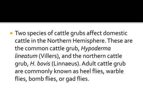 Ppt Warble Fly Powerpoint Presentation Free Download Id 2153703