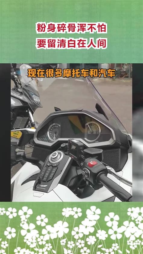 粉身碎骨浑不怕要留清白在人间 腾讯视频