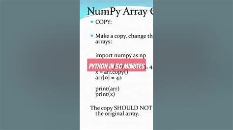 Python For Beginners Start Coding In 30 Minutesn 457899python