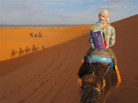 Datafy On Linkedin Spotted Datafy Swag In The Wild