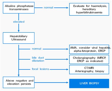 An Algorithm For Investigation In The Patient With Acute Jaundice Am A