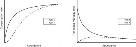 Type 2 And Type 3 Functional Response Curves Left And Resulting Download Scientific Diagram