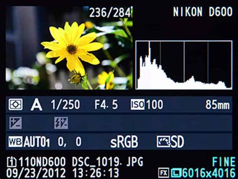 Cómo Acceder y Extraer Metadatos Exif Guía Completa Mira Cómo Se Hace
