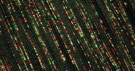 Digital Binary Code Seamless Loop 3d Render Animation Backgrounds