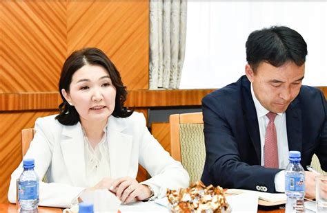 Ерөнхий нарийн бичгийн дарга нар уулзлаа