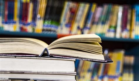 Дуу алдам интерьер бүхий номын сангууд