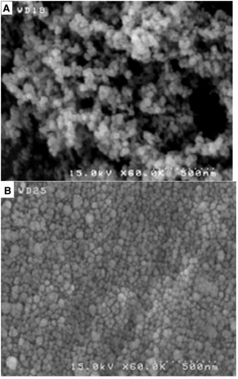 Field Emission Scanning Electron Microscopy Fe Sem Photomicrographs