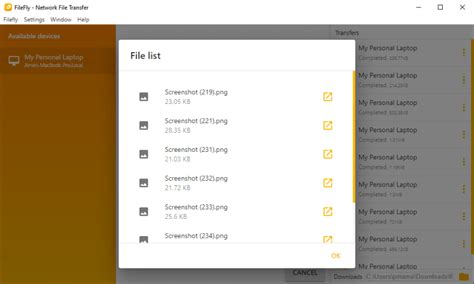 Install Filefly Local Network File Sharing On Linux Snap Store
