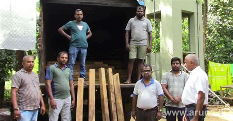 රු මිලියන 3ක් වටිනා දැව තොගයක් සමග දෙදෙනෙකු අත්අඩංගුවට අරුණ