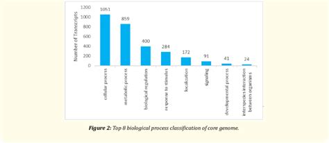 Molecular Function Classification Of Core Genome 2937 Transcripts Are Download Scientific