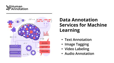 Cost Effective Data Annotation Machine Learning Services