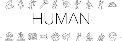 Biology Human Evolution Stages Evolutionary Vector Image