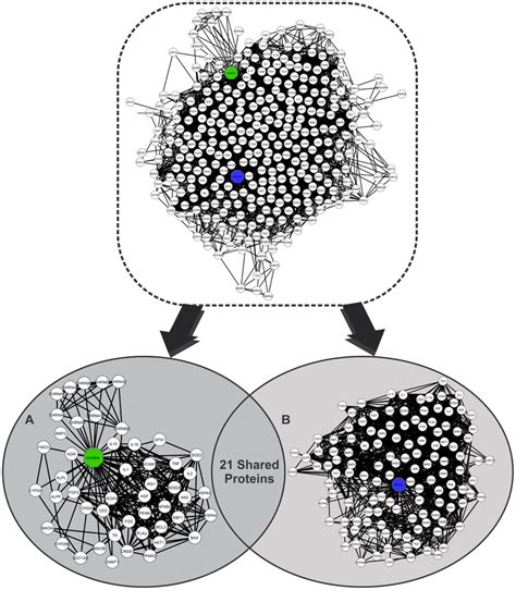 A Binary Network Of The Interactions Between Chemical Compounds And