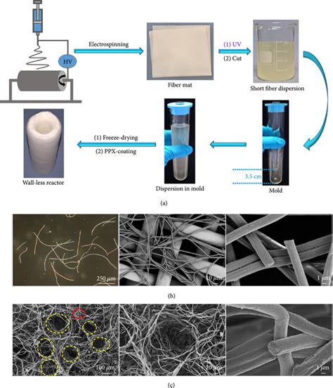 Concept For The Superhydrophobic Porous Reaction Container A Download Scientific Diagram
