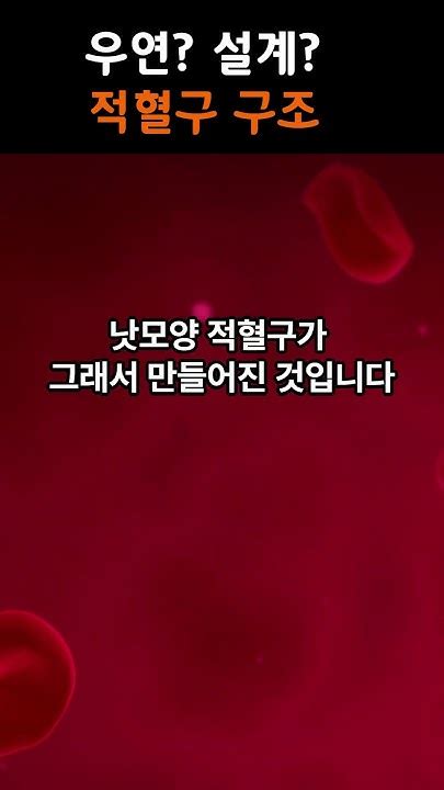 우연과설계 피 한 방울 속의 적혈구 구조 Shorts Youtube