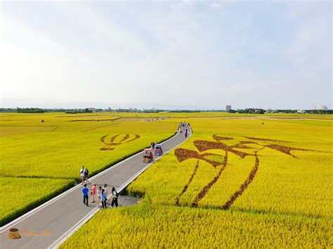 宜蘭冬山景點三奇美徑搖曳在冬山伯朗大道的金色稻浪 Pudding s Life