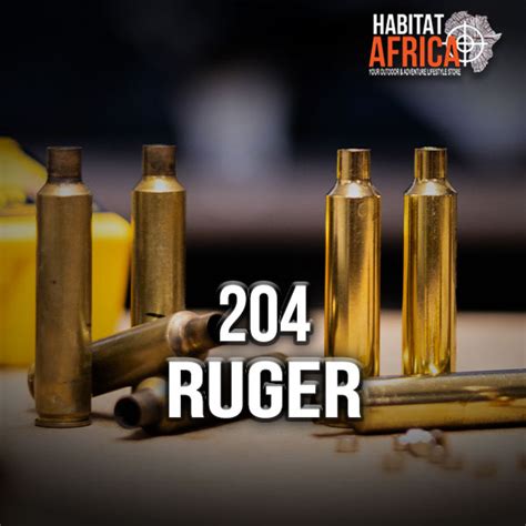 204 Ruger Brass Habitat Africa Gun Shop Reloading Brass Caibers