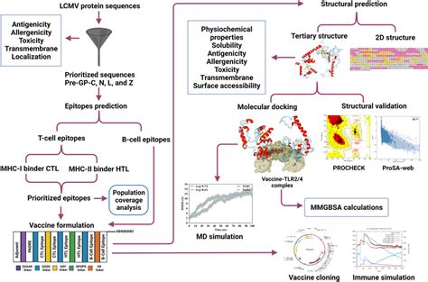 Overall Workflow Of The Study Download Scientific Diagram