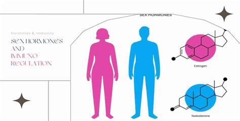Sex Hormones And Immunoregulation