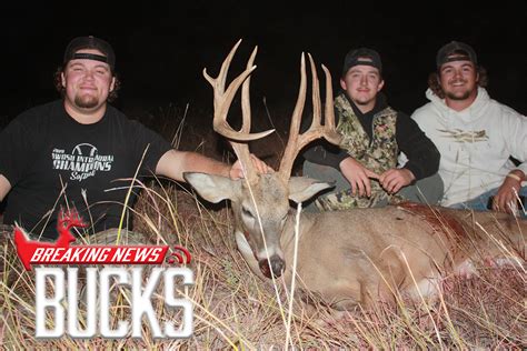 Brow Tines In 12