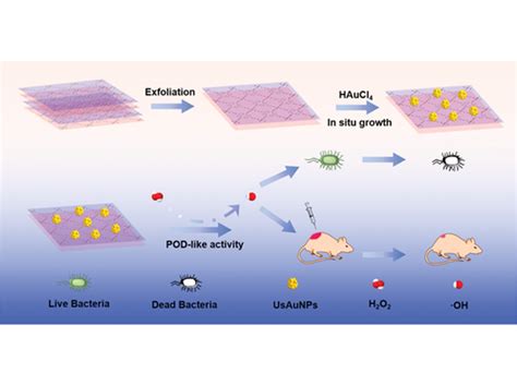 2020 The Xia Research Group