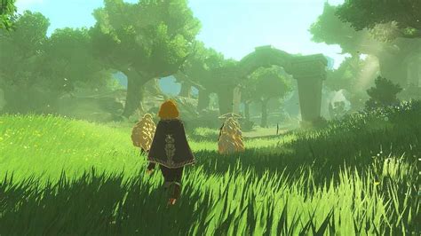 Hyrule Warriors Age Of Imprisonment Just Revealed 2 Surprise New