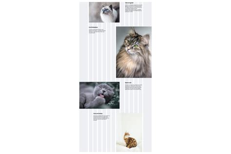 Как может использоваться Css сетка на уровне компонентов создание адаптивного дизайна