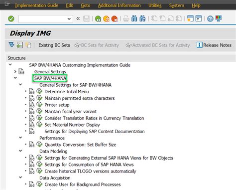 martin maruskin blog something about sap customizing of sap bw