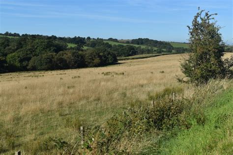 Rough Grass Sloping Down Towards © David Martin Cc By Sa20