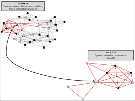 Isolation Of An Egocentric Network From A Sociocentric Network Of
