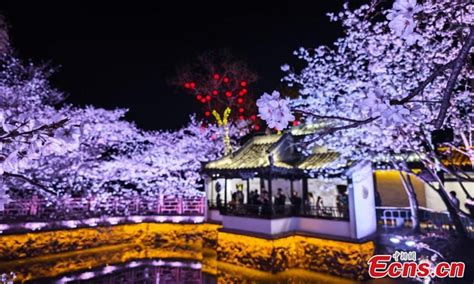 Lights Cherry Blossoms Turn Wuxi Into Night Wonderland Global Times