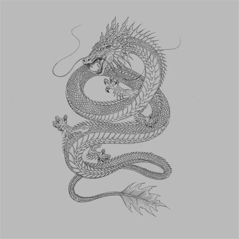 Китайский дракон рисунок легкий 75 фото