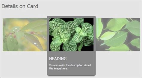 30 Hot Css3 Image Hover Scripts Idevie