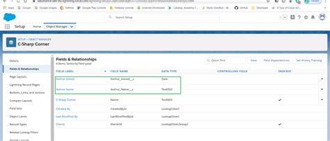 Creating Custom Fields In Salesforce Lightning Platform