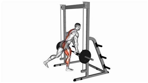 Smith Machine Single Leg Deadlift Exercise Guide How To Muscles Worked And Variations