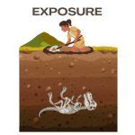 5 Steps Of Fossilization Earth How