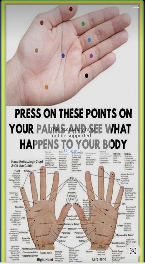 Hand Reflexology Charts Artofit