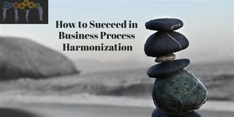 How To Succeed In Business Process Harmonization