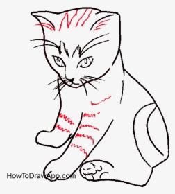 Cute Sit Cat Yang Kitten Drawing Clipart Drawing Cute Cat Cartoon HD Png Download