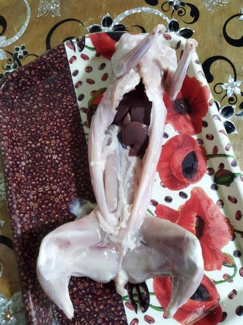 ჩემი გორი ყიდვა გაყიდვა იყიდება კურდღლის ხორცი