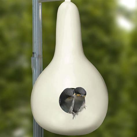 Heath Purple Martin Gourds Pack Of 18 Best Purple Martin Products