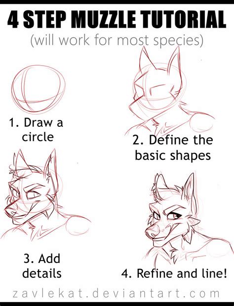 4 Step Muzzle Tutorial Zavlekat By Zavlekat On Deviantart