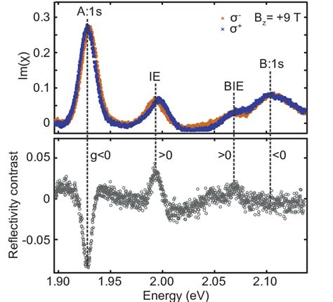 Absorption And Differential Reflectivity Contrast At Zero Electric