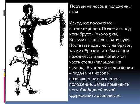 Техника упражнений для развития мышцы голени и икроножных мышц презентация онлайн