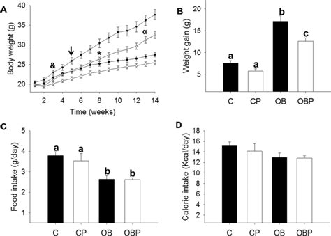 Body Weight A Weight Gain B Food Intake C And Calorie Intake