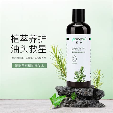 植树批发澳洲茶树精油洗发露 草本衡油清屑植物洗发水洗头膏