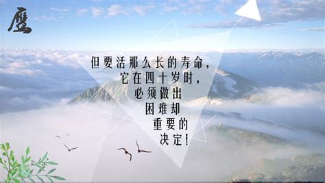 鹰之重生