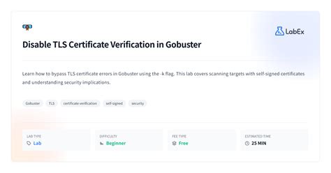 Disable Tls Certificate Verification In Gobuster Labex