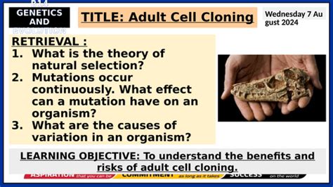 B14 Variation And Evolution Triple Lessons Only Cloning Gcse Aqa