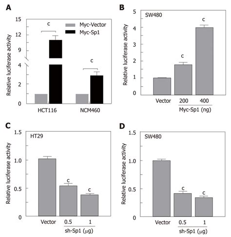 The Transcription Factor Sp1 Was Involved In The Promoter Activity Of Download Scientific